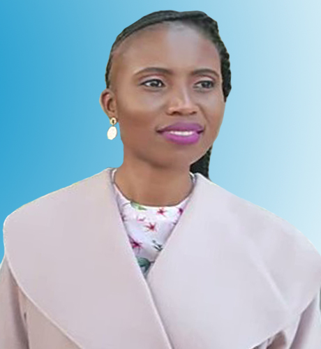 The company – M. Shandukani Holdings